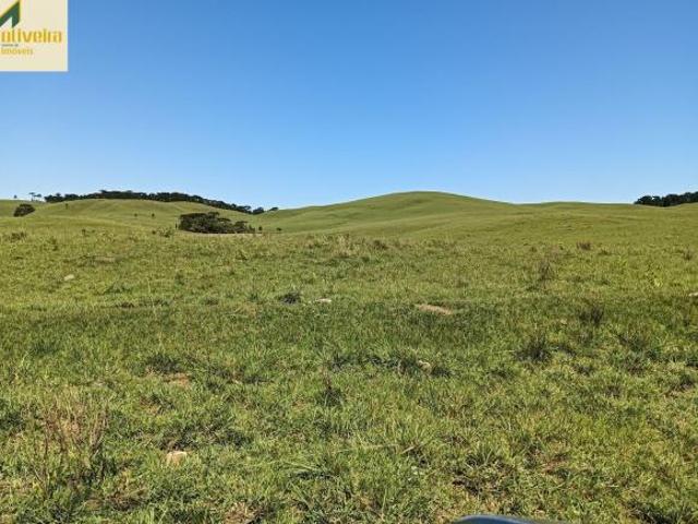 Ótimo campo em São Francisco de Paula
