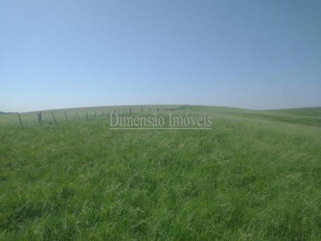 ÓTIMA Fazenda à Venda com 855 Ha, apenas à 50Km de Porto Alegre