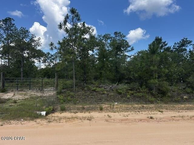 Ocala Dr, Alford, FL 32420