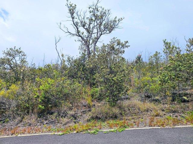 Ocean View, HI 96737