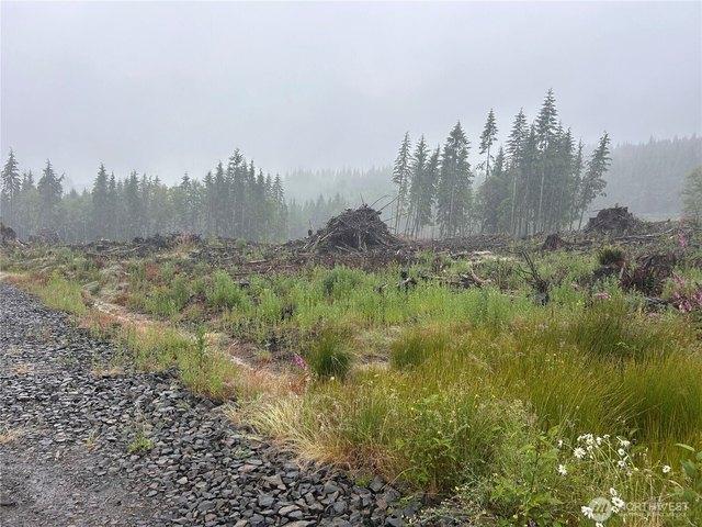 Ocean Beach Hwy Lot B, Skamokawa, WA 98647