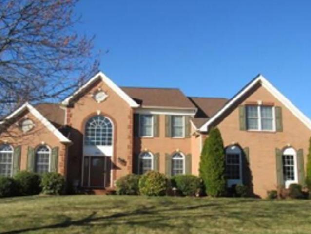 Ocean Forest Ct