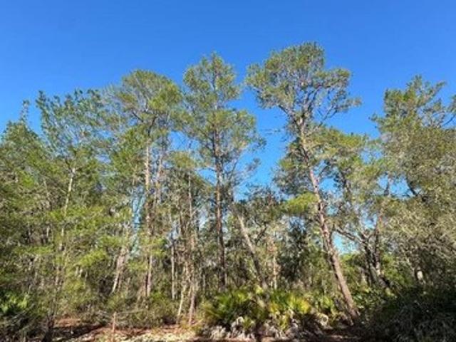 Ocklawaha, FL 32179