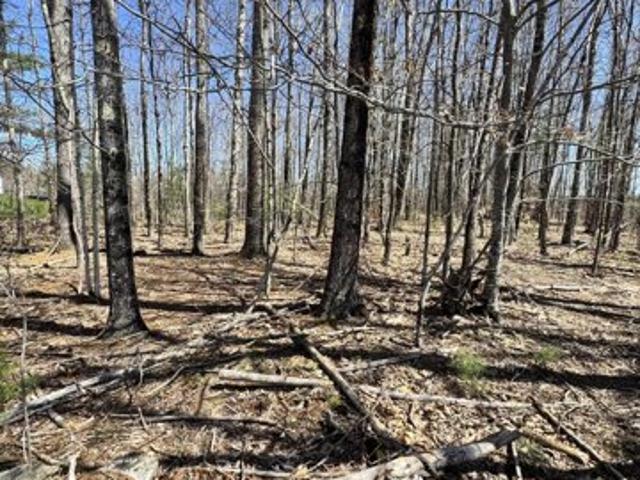 Oakwood Dr, West Gardiner, Plot For Sale