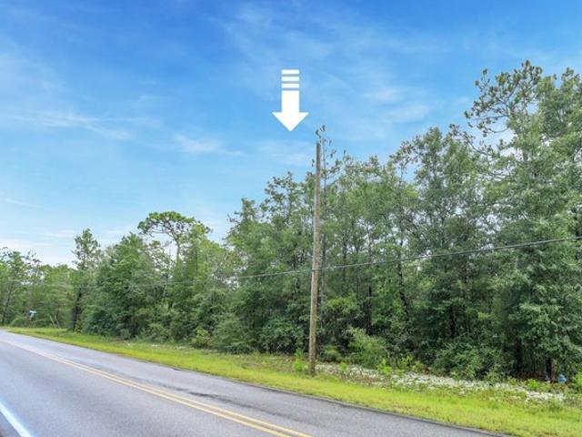 Oakwood Lakes Blvd Lot 8, Defuniak Springs, FL 32433