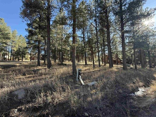 Oakwood Ln Lot 1113, Angel Fire, NM 87710