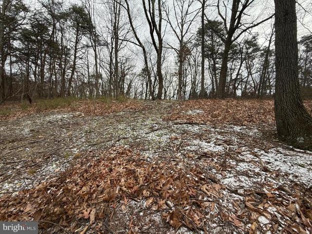 Oakwood Street # LOTS 349 351