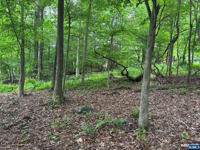 Oakwood, West Milford, NJ 07480