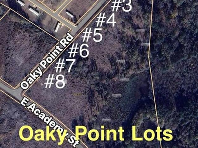 Oaky Point Rd Lot 6, Latta, SC 29565