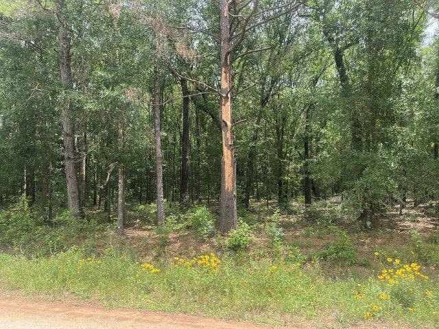Oak Bnd, Cleveland, TX 77328
