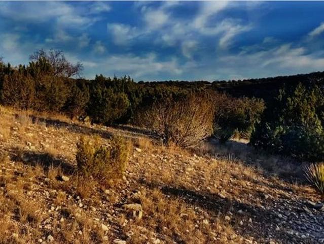Oak Bend Rnch, Rocksprings, TX 78880