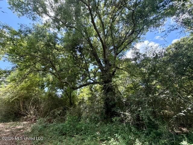Oak Grove Road, Tylertown, MS 39667