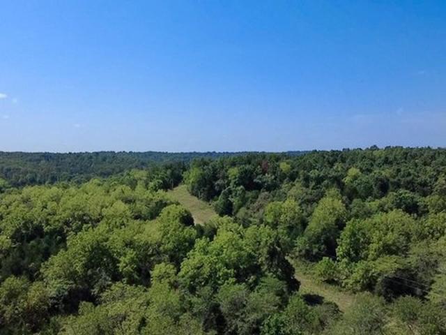 Oak Grove Rd, Cabool, MO 65689