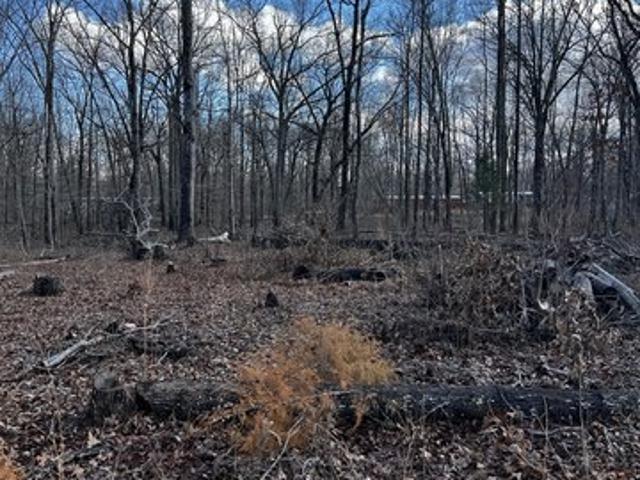 Oak Dr, Beechgrove, TN 37018