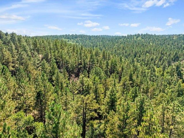 Oak Dr Lot 13, Whitewood, SD 57793