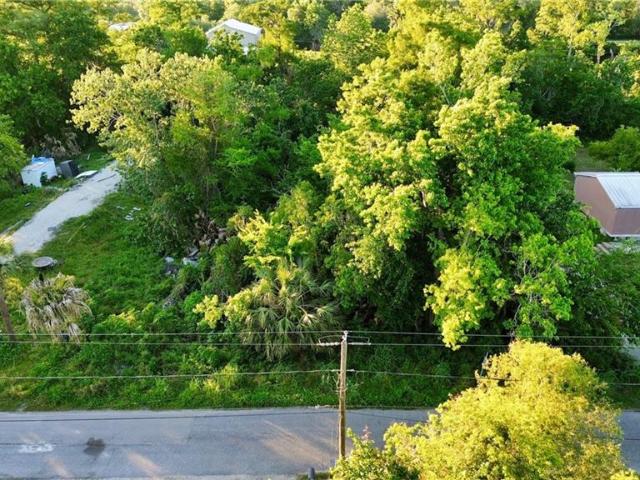 Oak Drive
