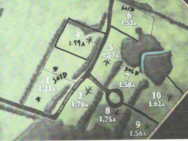 Oak Forest Dr Lot,oakland, Plot For Sale