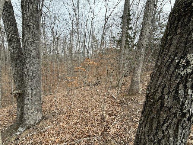 Oak Hollow Rd Lot 25, Moneta, VA 24121