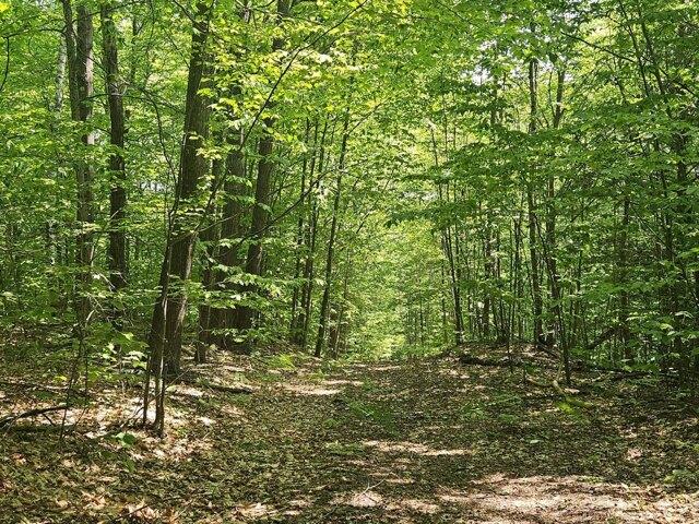 Oak Hill Rd Lot A, Temple, Plot For Sale