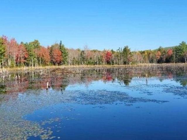 Oak Hill Rd, Swanville, Plot For Sale