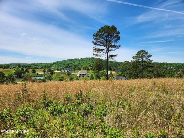 Oak Leaf Dr, Loudon, TN 37774