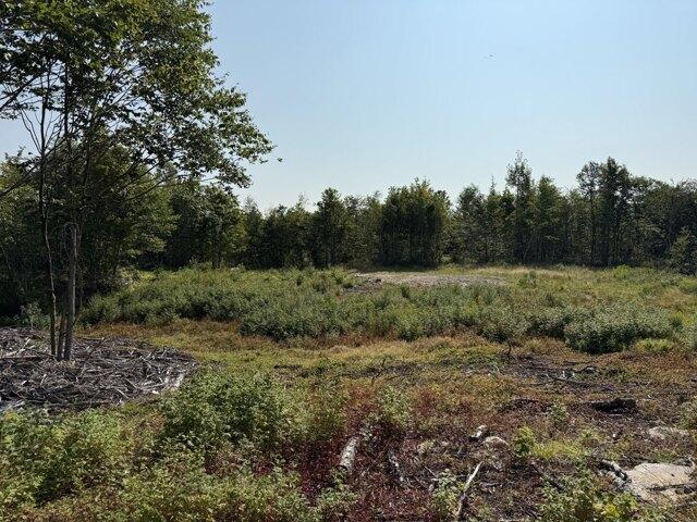 Oak Mountain Rd, Springfield, Plot For Sale