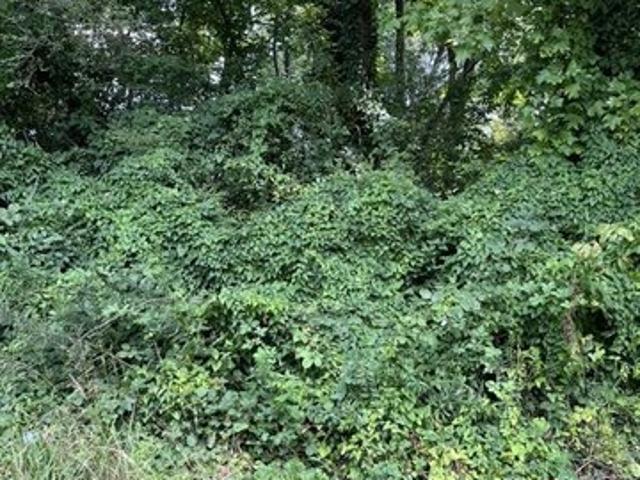 Oak St, Canton, GA 30114