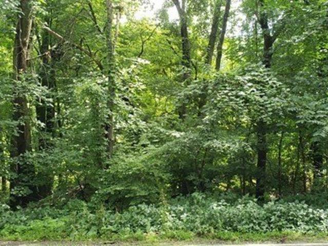Oak St, Ashland, MA 01721