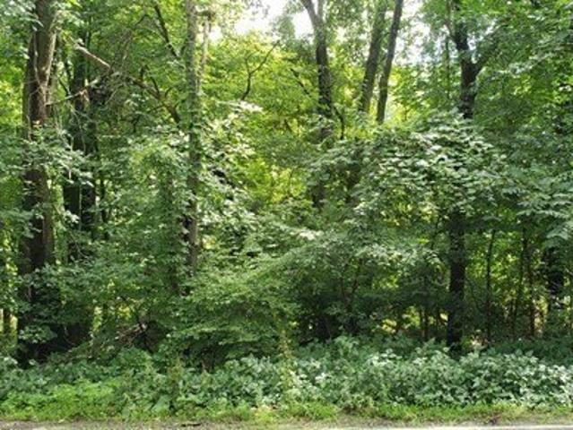 Oak St, Ashland, Plot For Sale