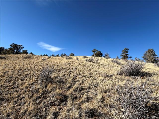 Oak St, Hartsel, CO 80449 | MLS #6717
