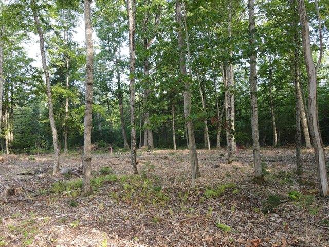 Oak Pond Rd Lot 6, Skowhegan, ME 04967