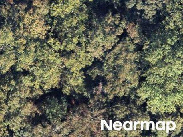 Oak Rd