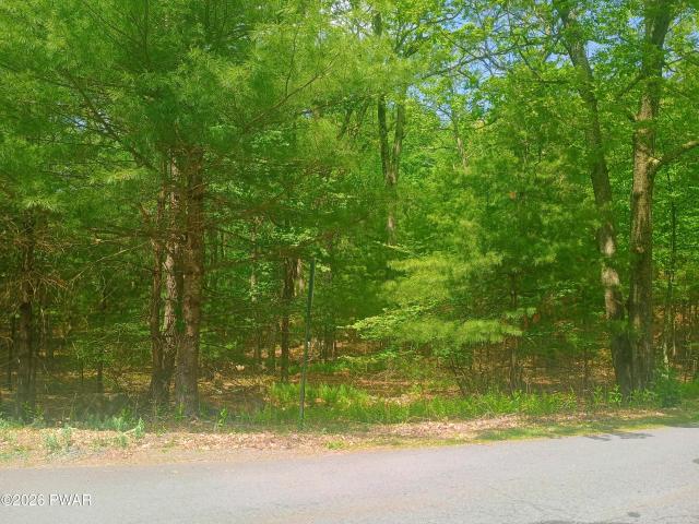 Oak Ridge Drive