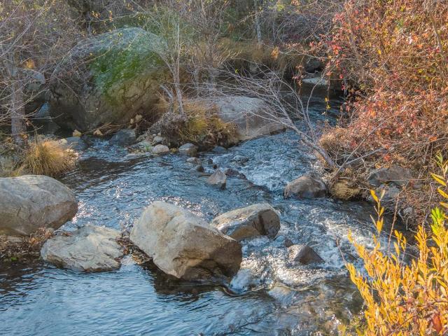 Oak Run, CA 96069 | Compass