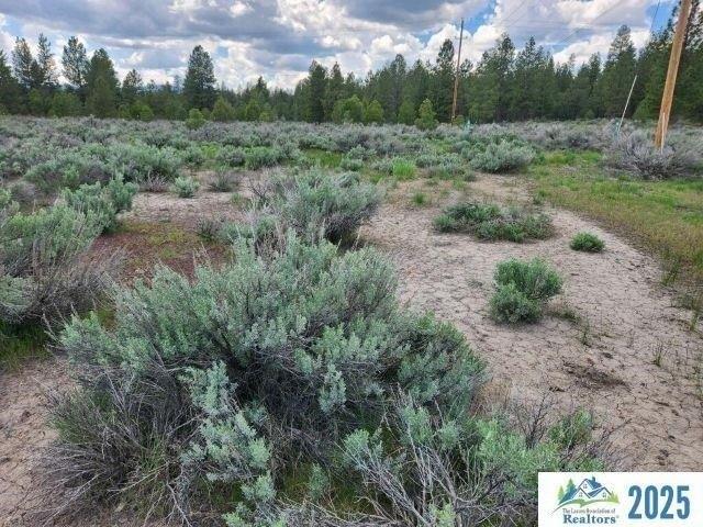 Oak Way, Susanville, CA 96130