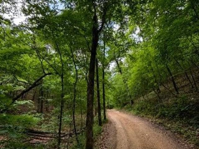 Oak Thicket Ln, Galena, MO 65656