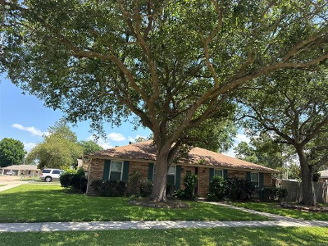 Oak Tree Dr