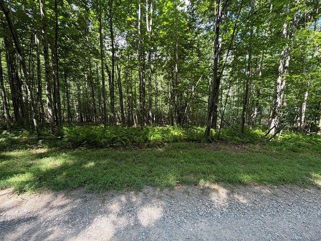 Oak Valley Ln Lot 27, Galax, VA 24333