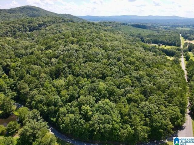 Oakdale Rd Lot 1, Sylacauga, AL 35150