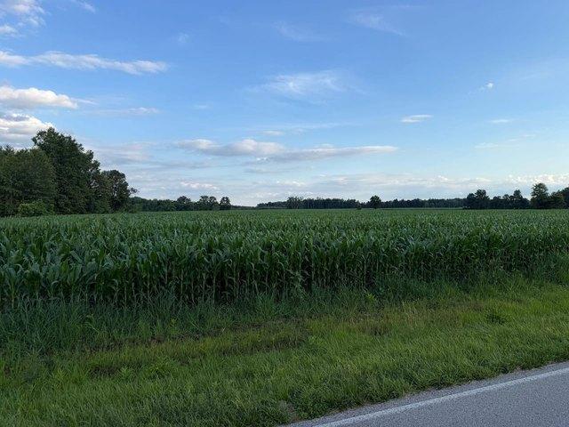 Oakland Rd, Bethel, OH 45106