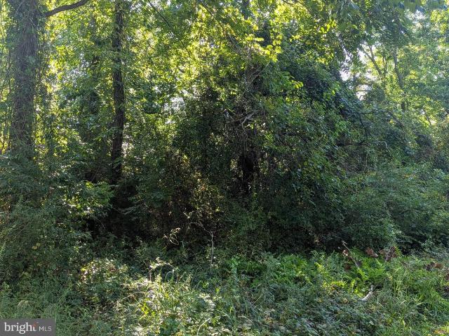 Oakley Drive
