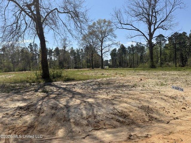Oakley Ln Lot 14, Lucedale, MS 39452