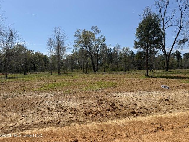 Oakley Ln Lot 12, Lucedale, MS 39452