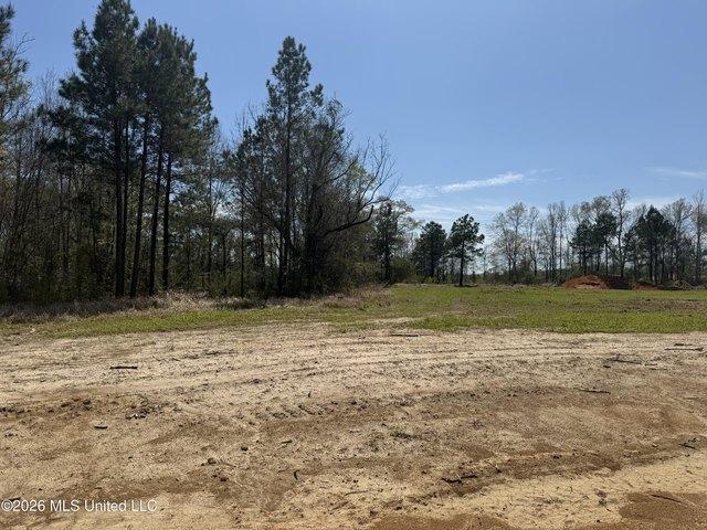 Oakley Ln Lot 8, Lucedale, MS 39452