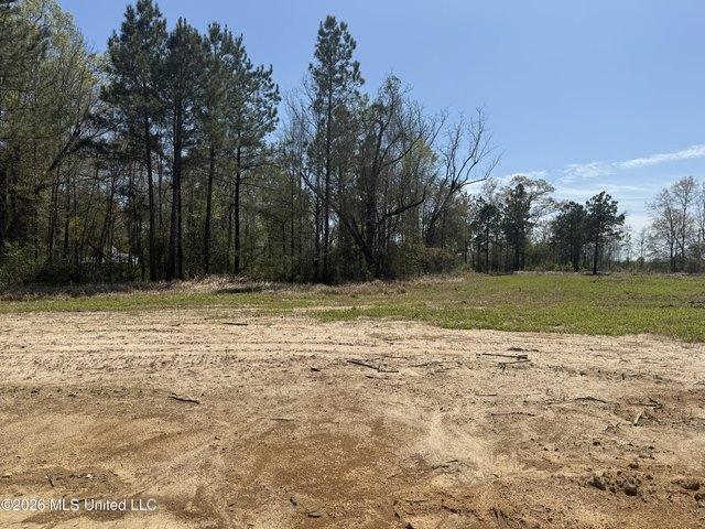 Oakley Ln Lot 9, Lucedale, MS 39452
