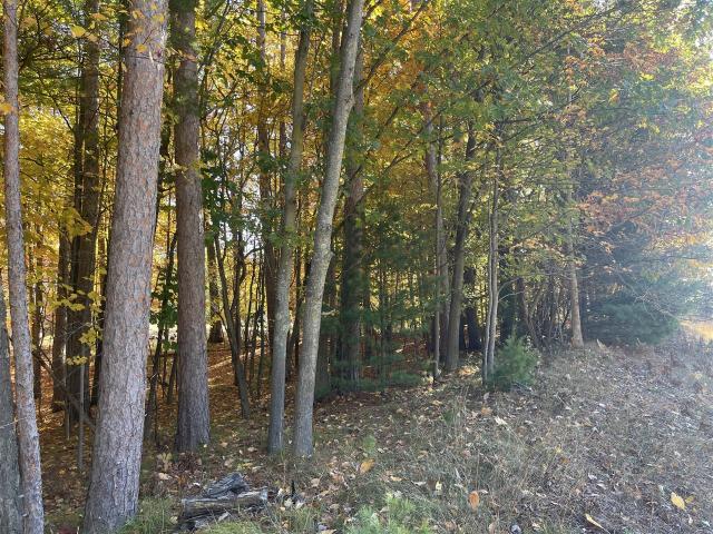 Oakridge Drive # Lot 1