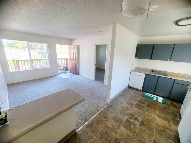 Oaks 1 Bedroom Apartment for Rent at 14650 Nw Cornell Rd, Cedar Mill, OR 97229 Cedar Hills Cedar Mill