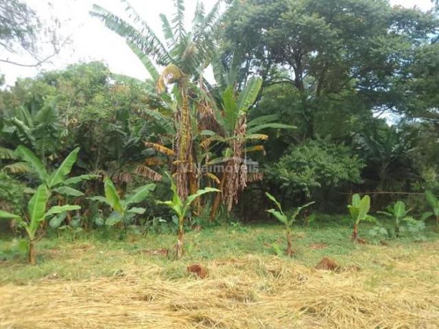 Oásis Urbano à Venda em Barão Geraldo