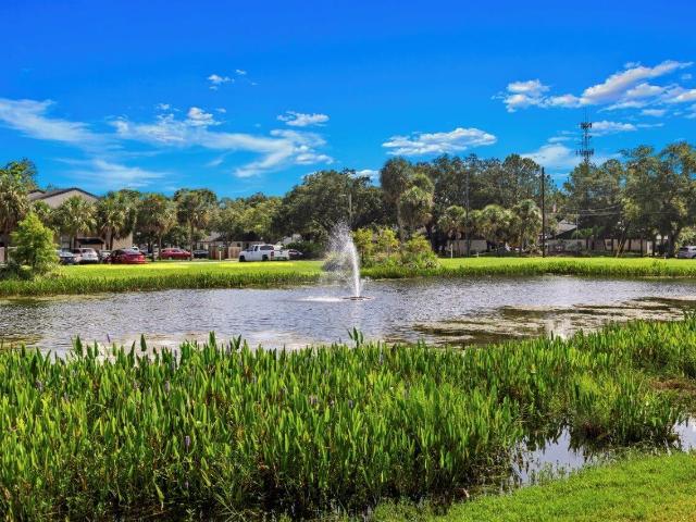 Oasis at Bayside 2 Bedroom Apartment for Rent at 305 Glades Cir, Largo, FL 33771