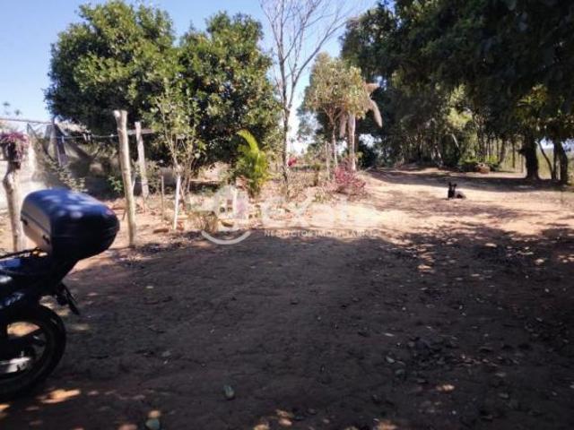 Oasis de tranquilidade: Chacara a venda em Piedade, ideal para plantio e desfrutar da natureza